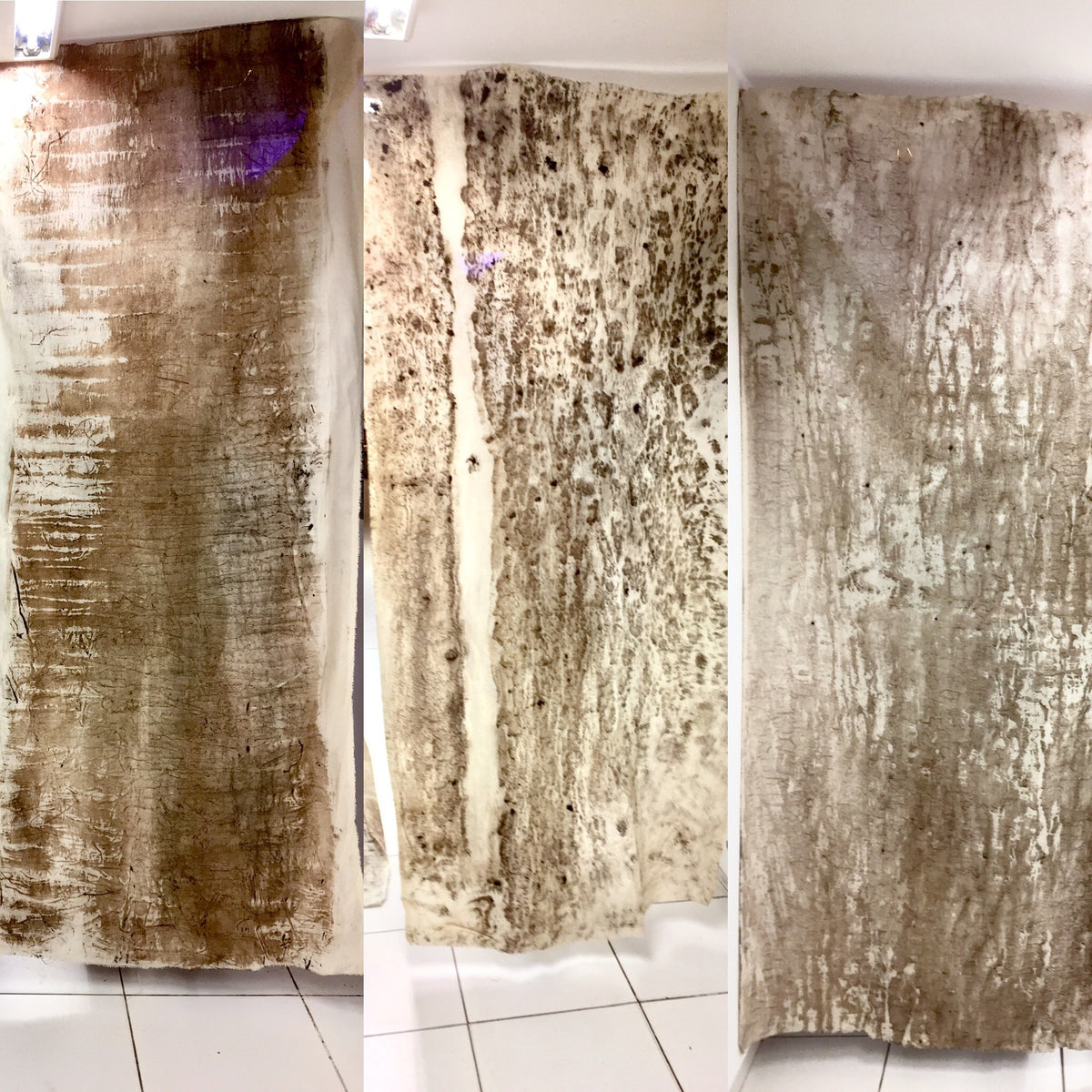 MARCOS BENITEZ - AO "Proyecto herbolario" – BGN/ARTE